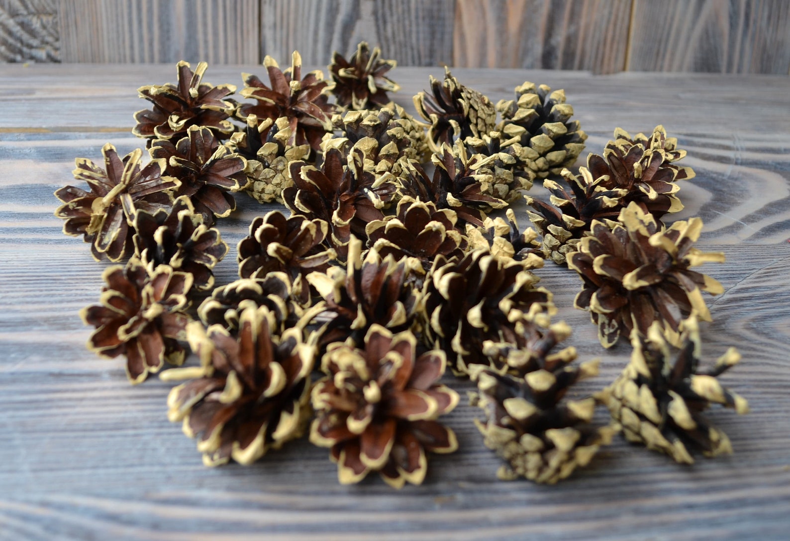 Painted Pinecone White Tipped Pinecones Natural Pine Cones - Etsy