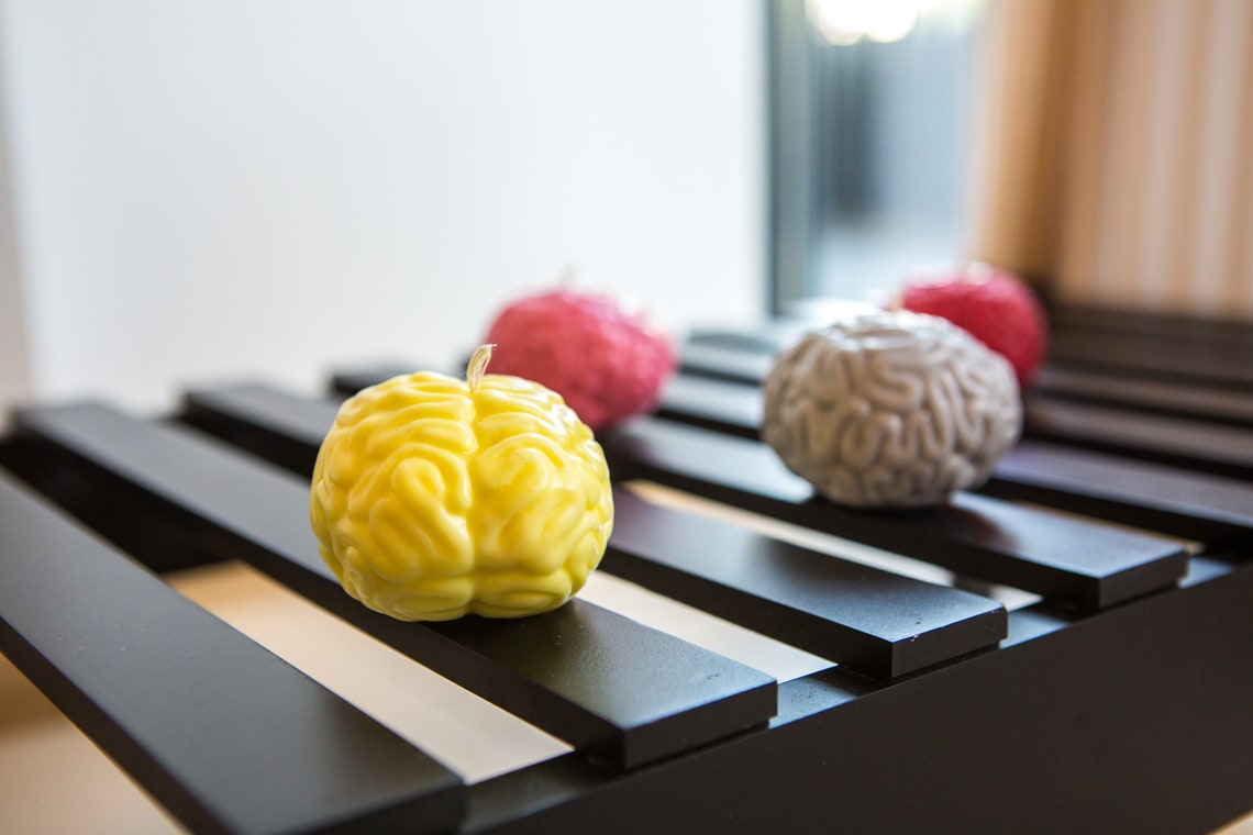 Human Brain 3D Silicone Mold Brain Mold for Creating Candles - Etsy