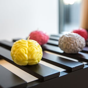 Human Brain 3D Silicone Mold, Brain Mold for Creating Candles, Soap ...
