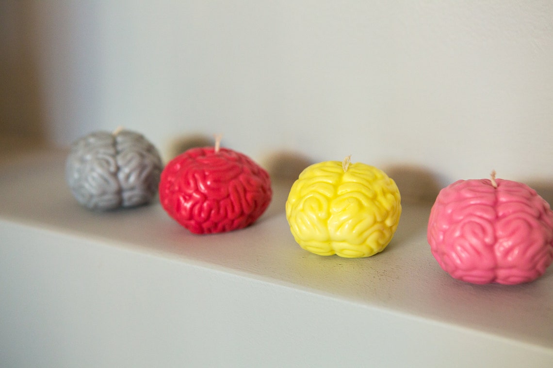 Human Brain 3D Silicone Mold Brain Mold for Creating Candles - Etsy