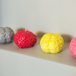 Human Brain 3D Silicone Mold, Brain Mold for Creating Candles, Soap ...