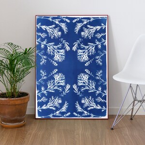 Classical Botanics Handmade Cyanotype Print of Vintage Pressed Flowers ...