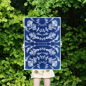2021, Vintage Pressed Flowers, Botanical Cyanotype Print in Blue Tones ...