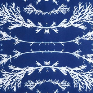 2021, Vintage Pressed Flowers, Botanical Cyanotype Print in Blue Tones ...