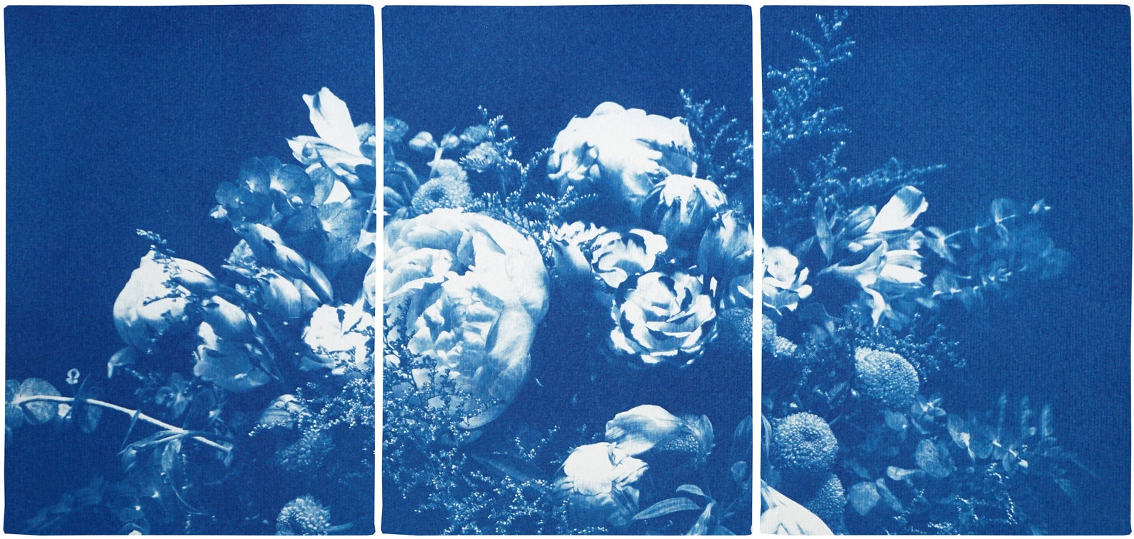 Large Botanical Cyanotype Vintage Style Triptych of Blue | Etsy