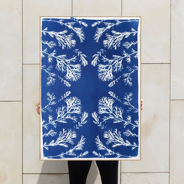 Cyanotype Print - Etsy