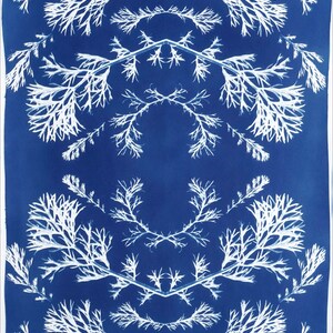 Vintage Pressed Flowers, Botanical Cyanotype on Watercolor Paper, Vivid ...