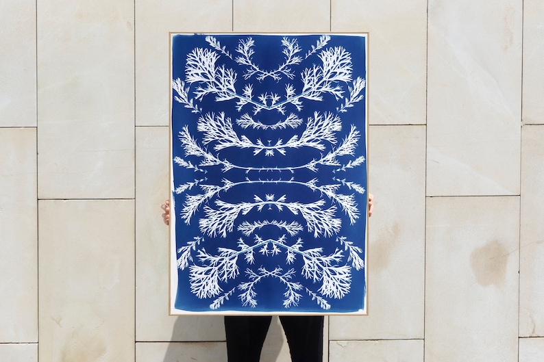 2021 Vintage Pressed Flowers Botanical Cyanotype Print in - Etsy