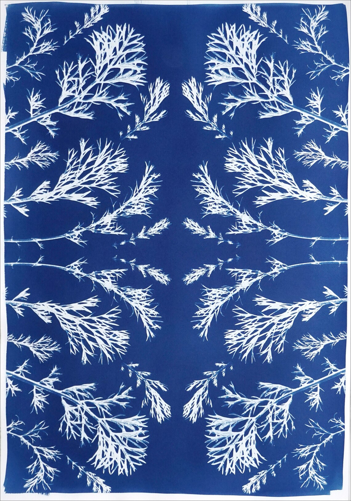 2021 Original Cyanotype Print of Vintage Pressed Flowers - Etsy