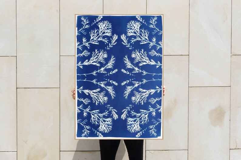 2021 Original Cyanotype Print of Vintage Pressed Flowers - Etsy