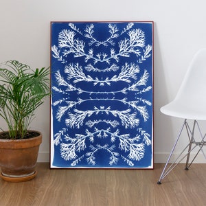 2021, Vintage Pressed Flowers, Botanical Cyanotype Print in Blue Tones ...