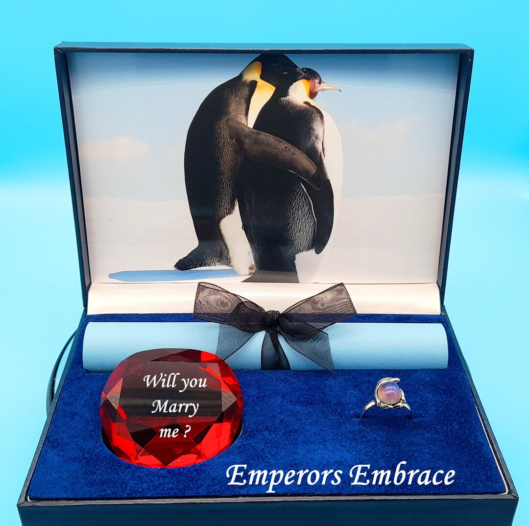 Propose Like a Penguin Emperor Penguin Themed Proposal Gift - Etsy UK