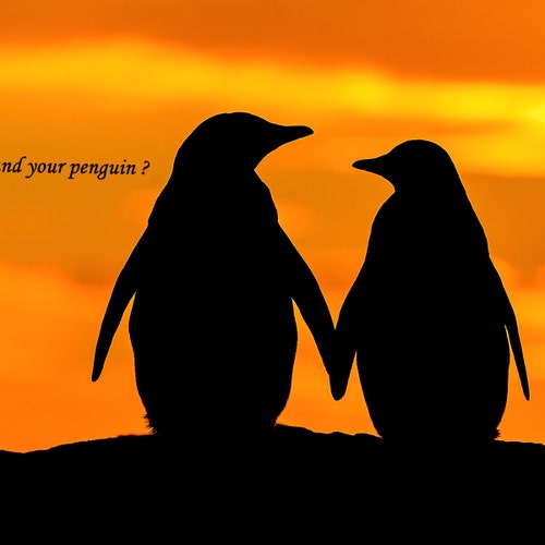 pebblezandpenguinz - Etsy