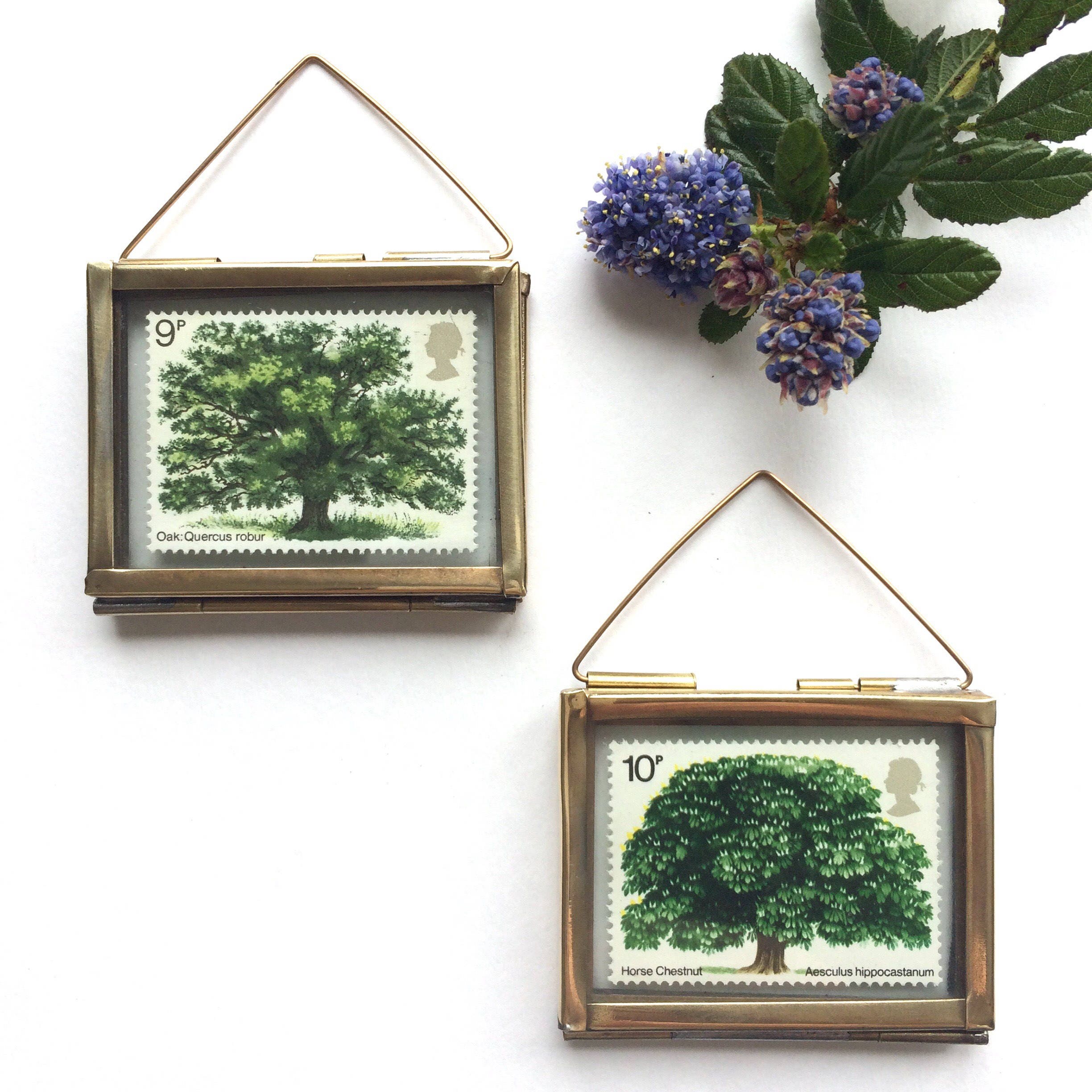 Miniature Framed Vintage 1973 Oak Tree Postage Stamp Nature - Etsy