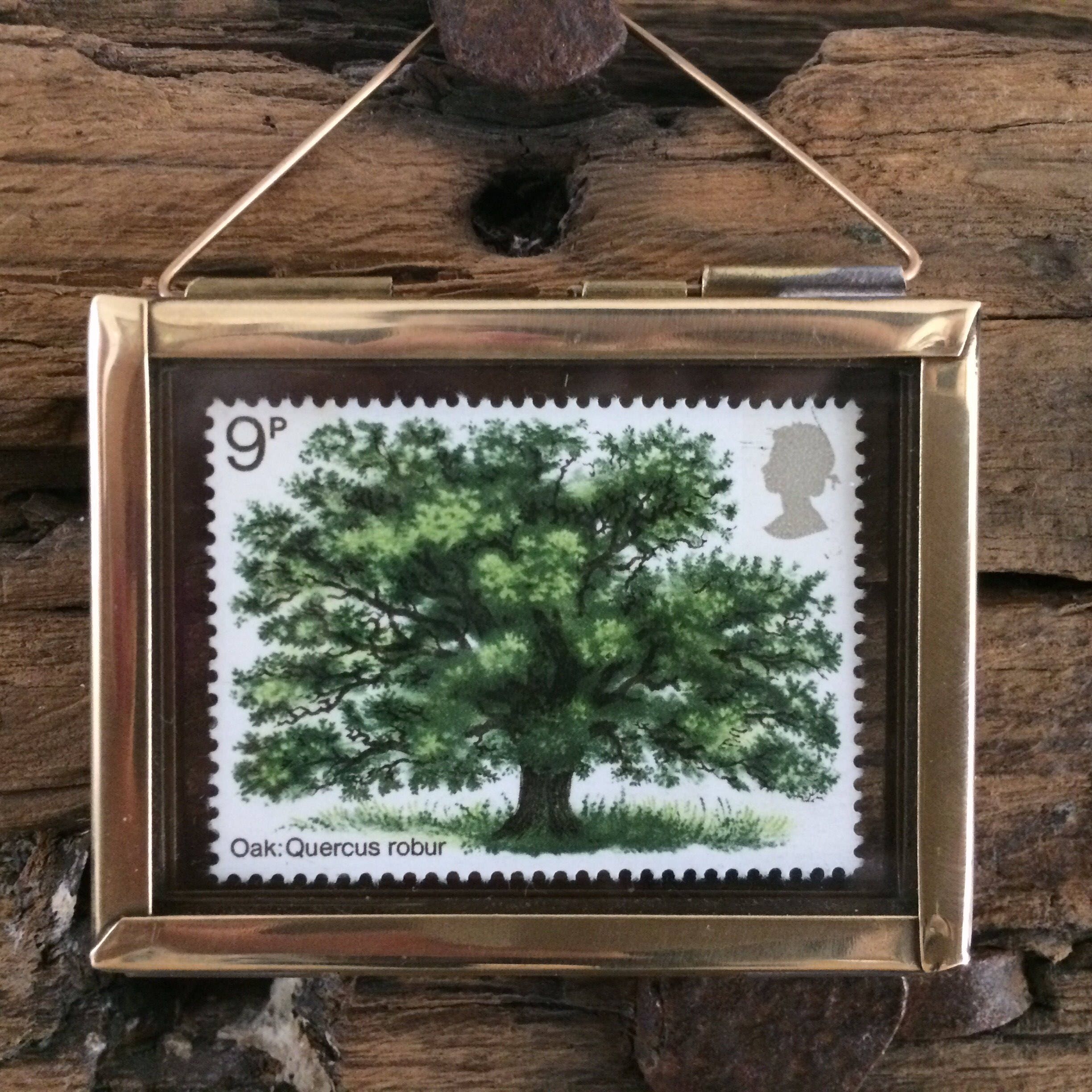Miniature Framed Vintage 1973 Oak Tree Postage Stamp Nature - Etsy