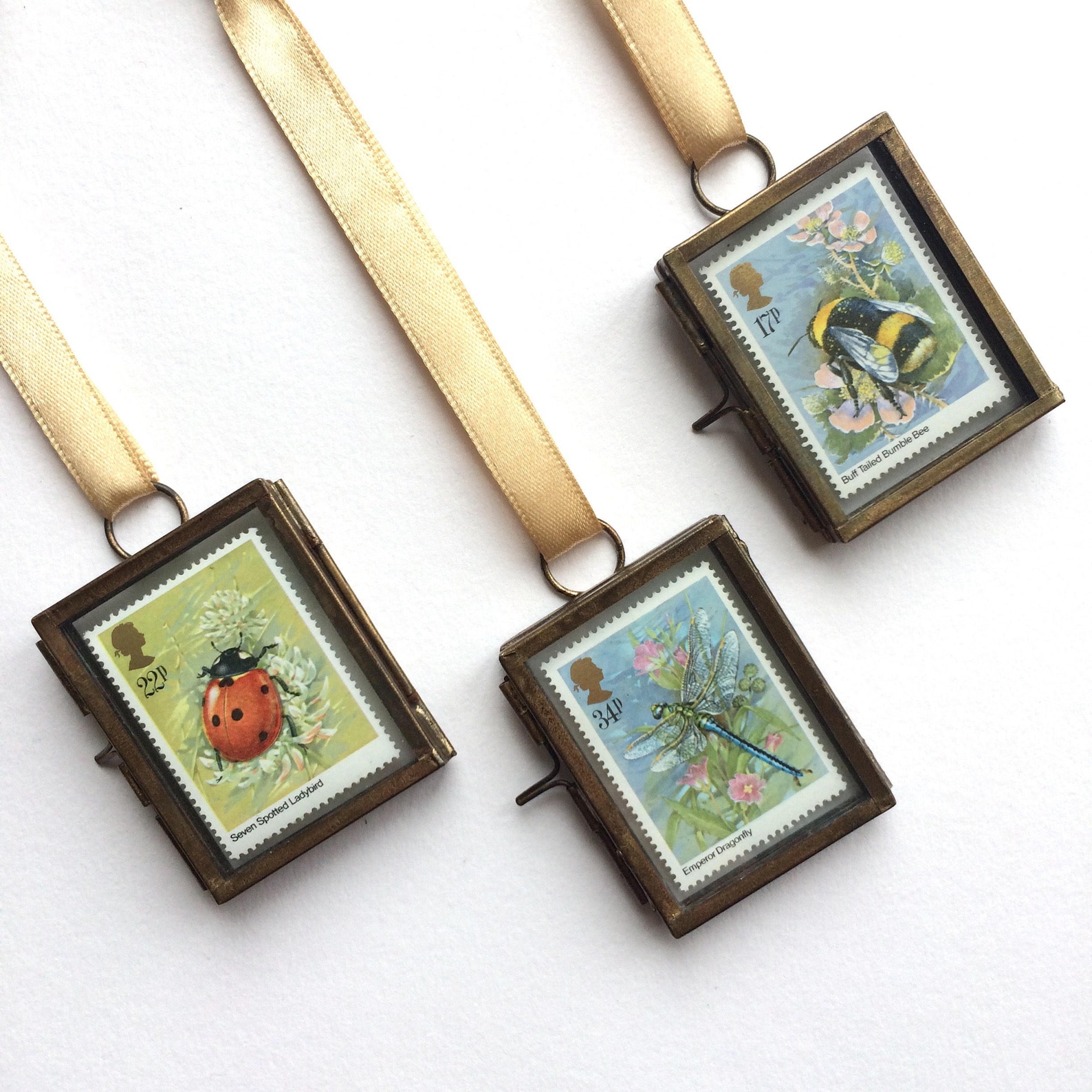 Bush Cricket Insect Art Entomology Gift Vintage Insect | Etsy