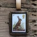 Hare Art - Hare Pictures - Hare Stamp - Hares - Nature Lover Gift Idea ...