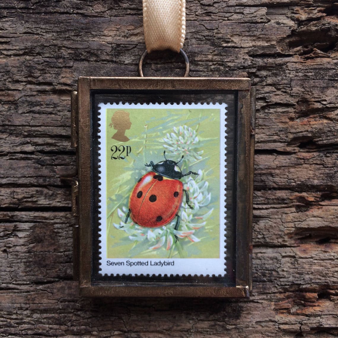 Ladybird - Lady Bird - Ladybug Gifts - Ladybug Decor - Insect Art ...