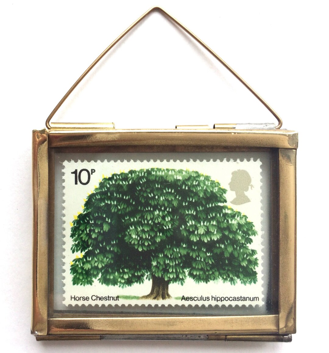 Horse Chestnut Tree Postage Stamp Keepsake Gift - British Woodland Wall ...
