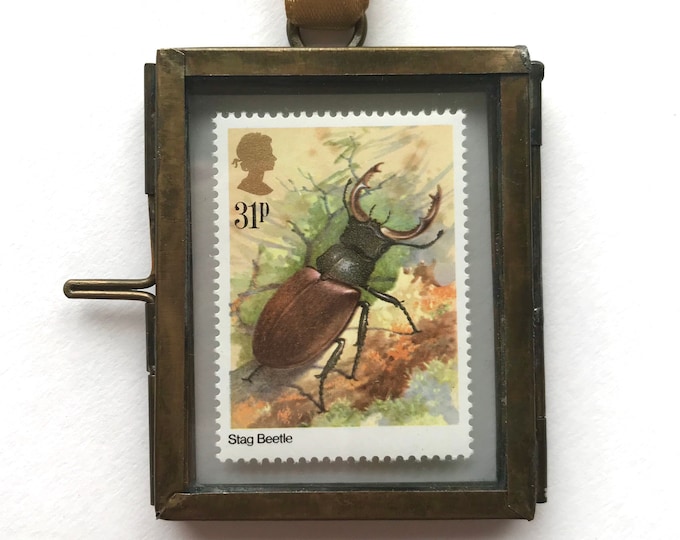 Stag Beetle Print Beetle Art Insect Art Entomologist | Etsy