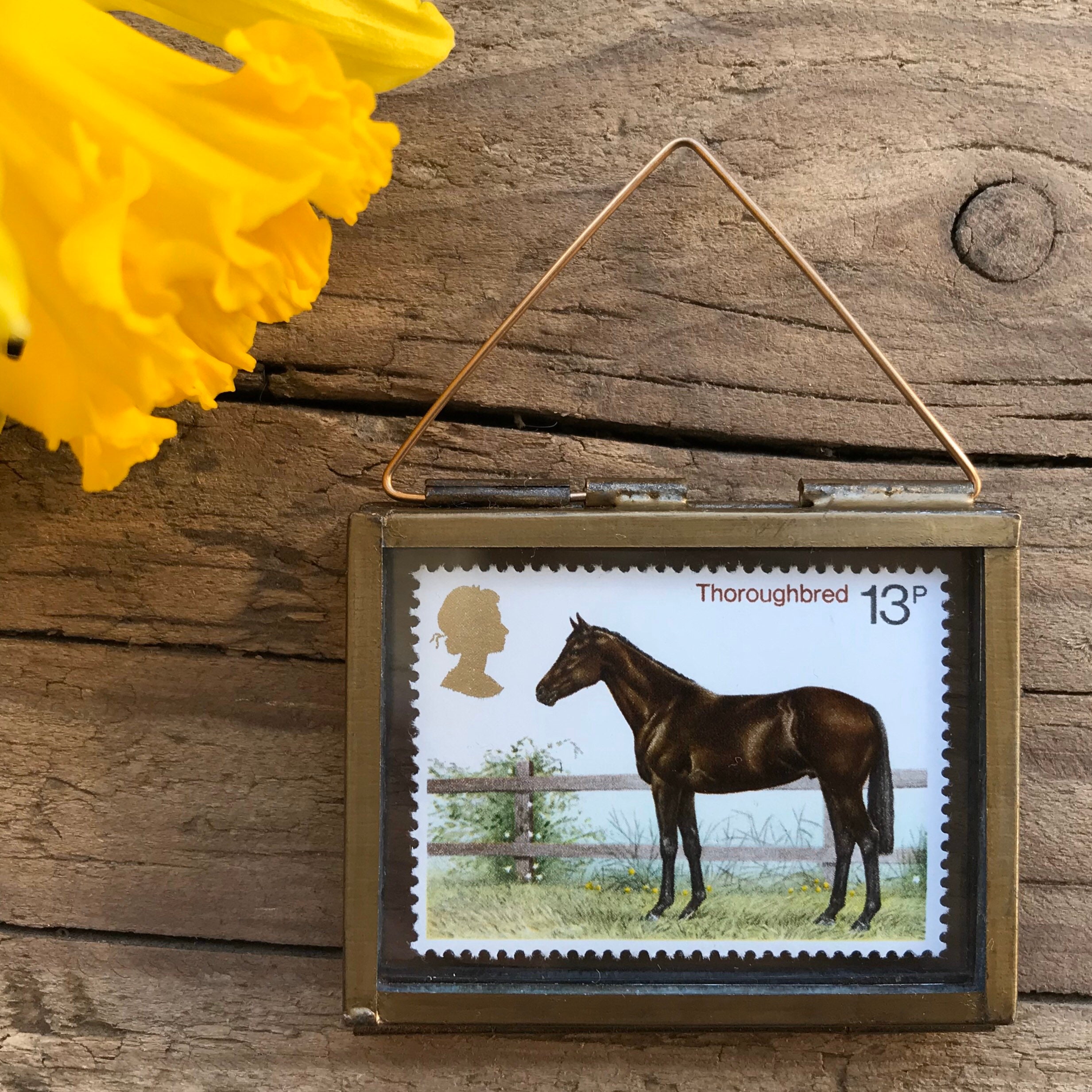 Thoroughbred Horse Gifts Horse Racing Horse Decorations - Etsy