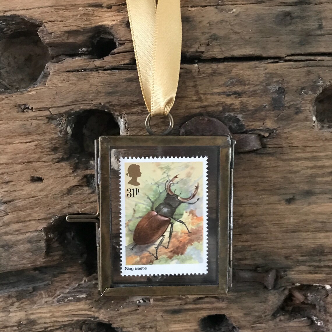 Stag Beetle Print Beetle Art Insect Art Entomologist | Etsy