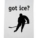 Got Ice Cool Hockey Player Graphic Shirt Pillow or Towel - Etsy
