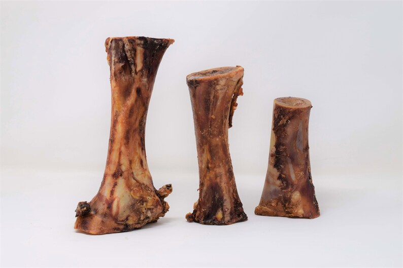 Beef Femur Bones - Etsy