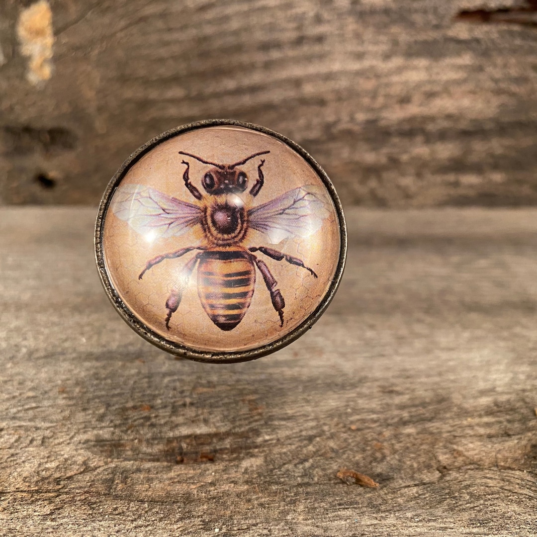 Honey Bee Glass Knob, Bubble Design, Cabinet Drawer Pull - Etsy