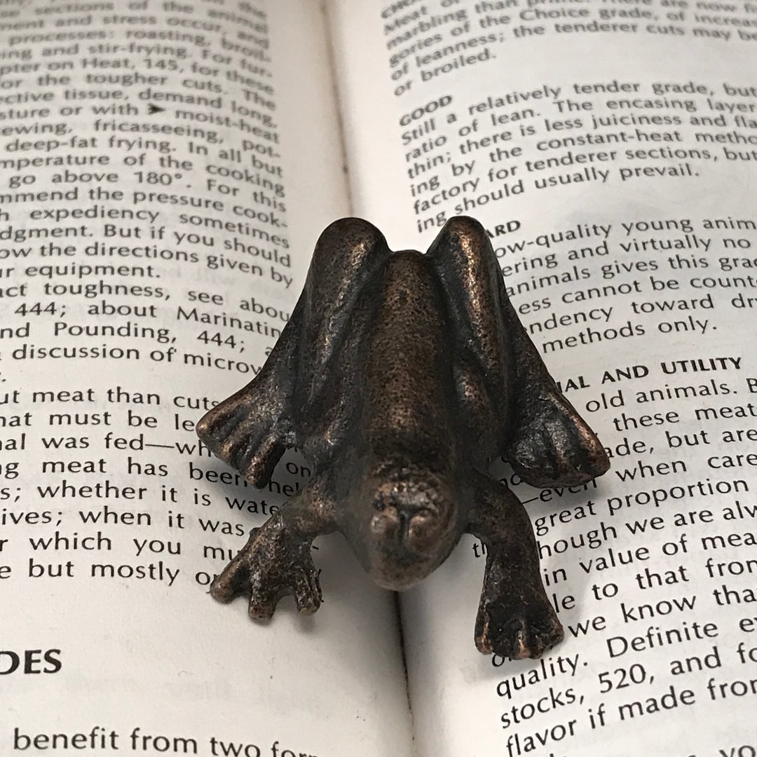 Cast Iron Frog Knob, Drawer Pull, Metal Frog Knob, Toad Metal Bronze ...