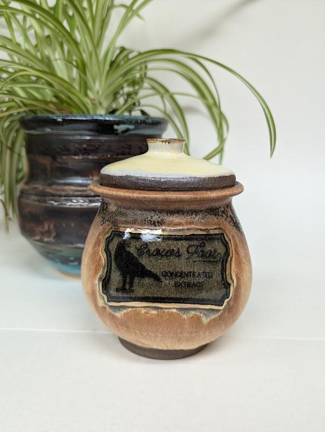 Tea Jar, Ceramic Jar, Lidded Jar, Crow, Herb Jar, Halloween Jar, Jar ...