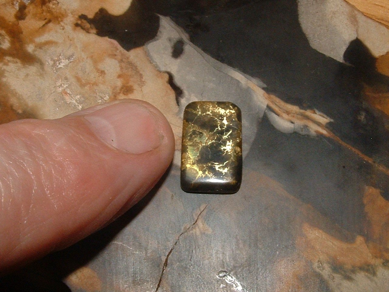 SHEEP RANCH Gold Quartz Cabochon 10.2 Carats California Natural Gold in ...