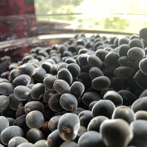 Mgambo Seeds - Viable Hawaiian Velvet Seeds for Planting - Natural ...