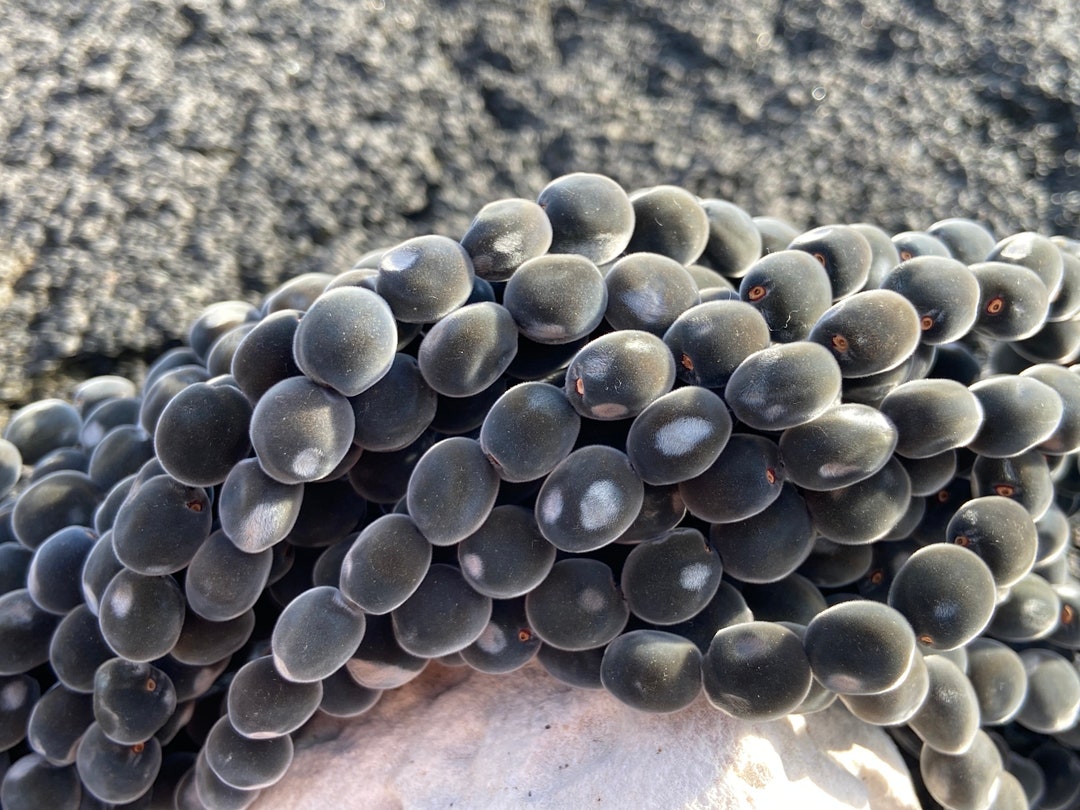 Mgambo Seed Bead Lei Necklace - Hawaiian Velvet Seed - Soft, Furry ...