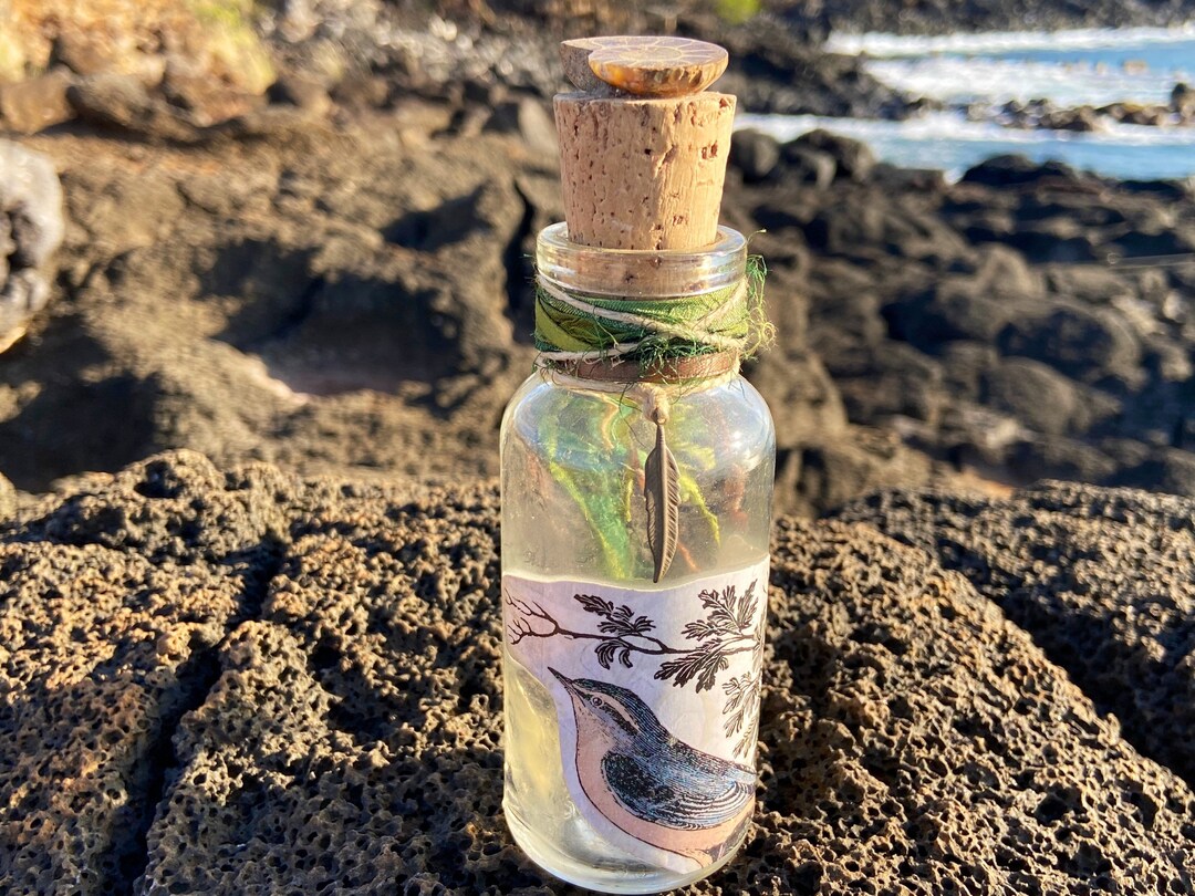 Potion Bottle, Witch Bottle - Sparkle Bird, Renewal, Growth, Energy ...