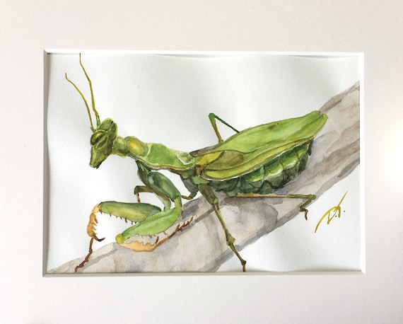 Ghost Mantis Original Watercolor Painting Urns & Memorials Pet Supplies ...