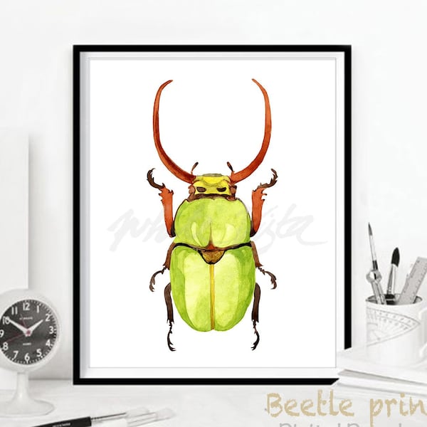 Beetle Art - Etsy