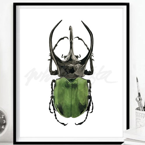 Beetle Wall Art Watercolour Prints Green Stag Beetles - Etsy