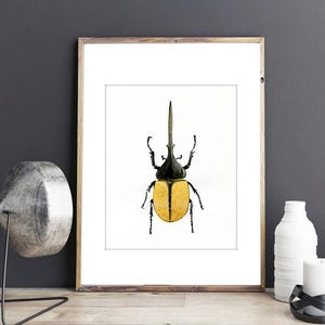 Beetle Art Print Yellow Stag Watercolour Bug Artwork Printable Wall Art ...