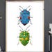 Beetle Bug Art Prints Illustration Wall Decor Watercolour Modern Nature ...