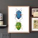 Beetle Bug Art Prints Illustration Wall Decor Watercolour | Etsy