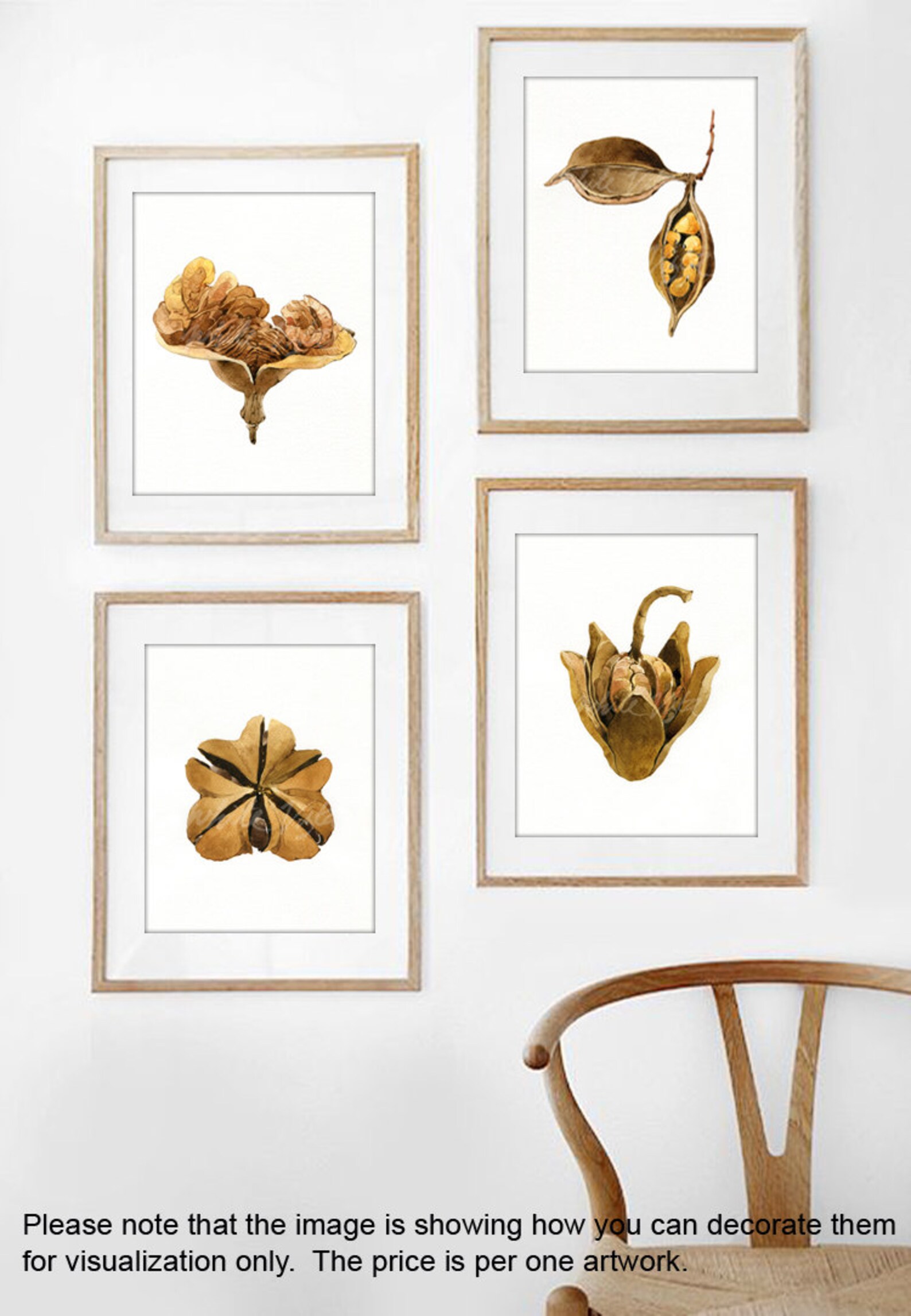 Seed Watercolor Art Prints, Botanical Watercolour Art Print Natural ...