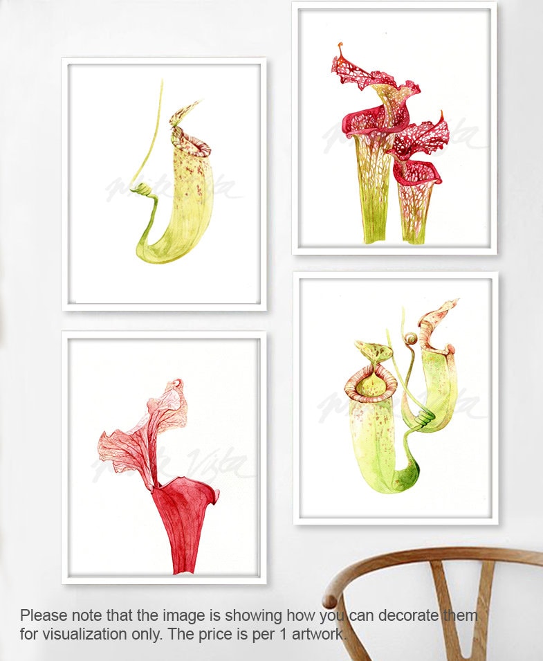 Pitcher plants botanical water color art prints nature water | Etsy