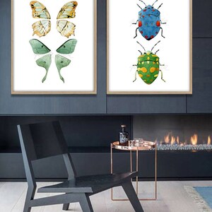 Beetle Bug Art Prints Illustration Wall Decor Watercolour Modern Nature ...