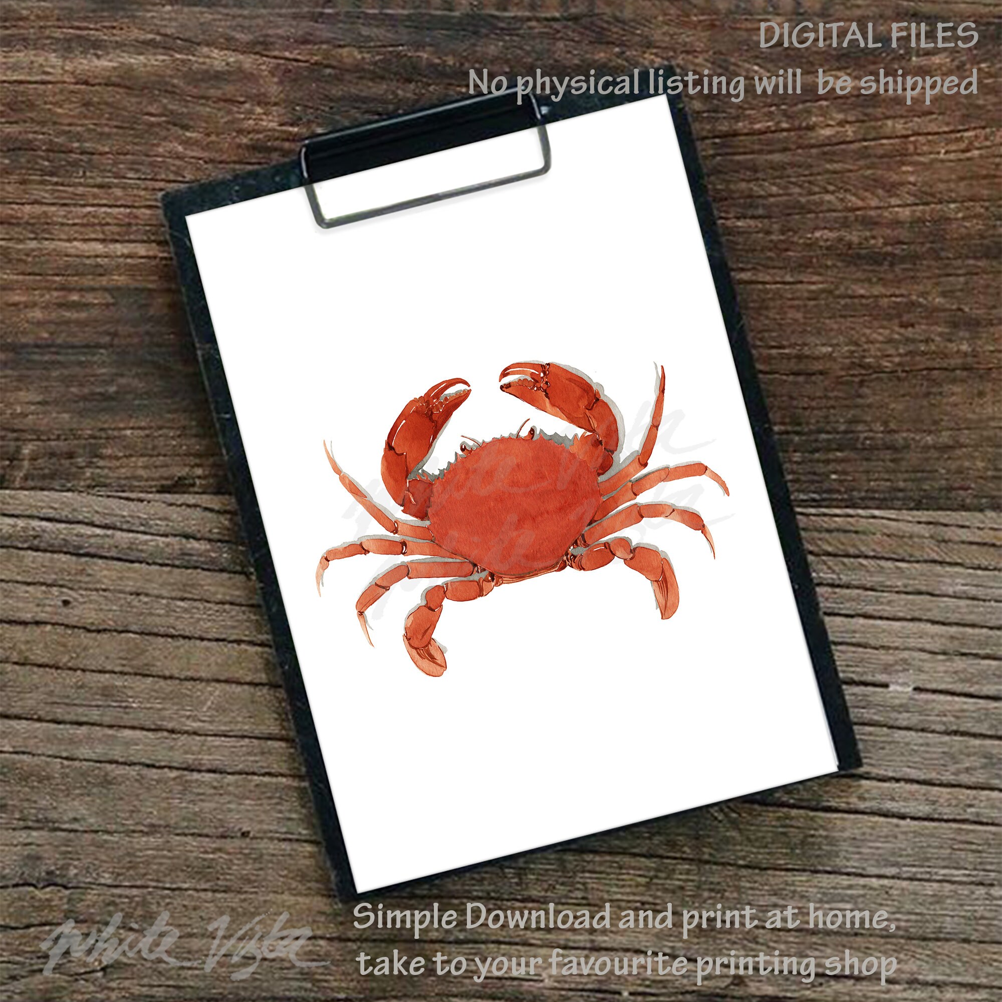 Crab Print Red Rock Crab Coastal Wall Art Coral - Etsy