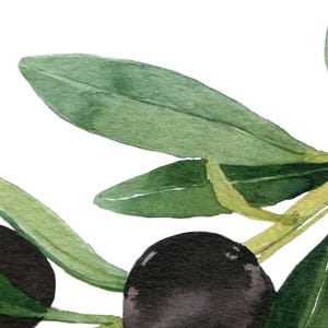Olive Art Print Italy Culinary Kitchen Wall Decor Watercolour - Etsy