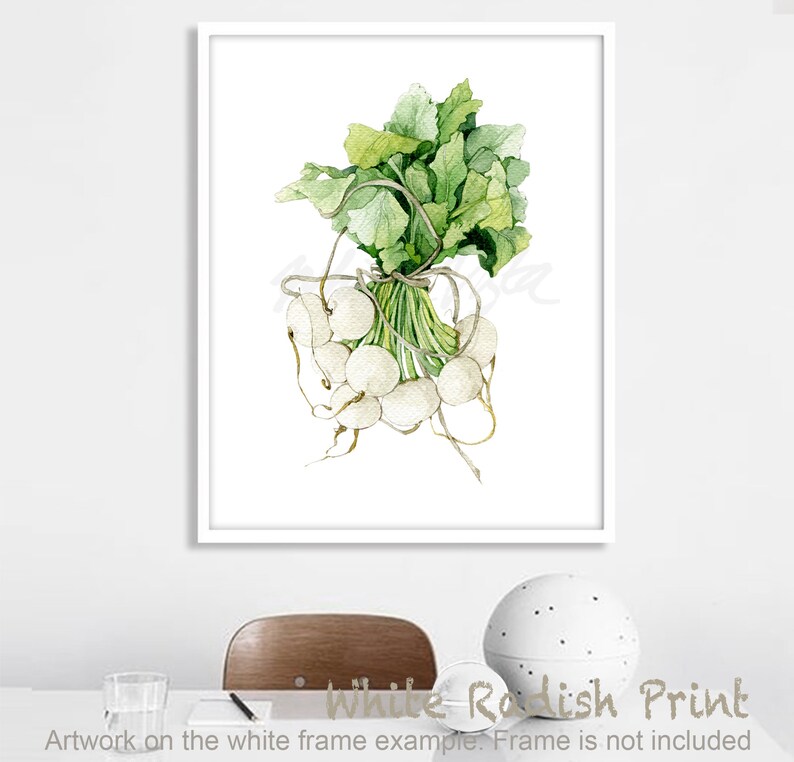 Vegetable Print kitchen Print White Radish Veggie Print - Etsy