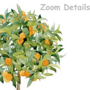 Topiary Tree Orange Topiaries Print Chinoiserie Bonsai Watercolour ...