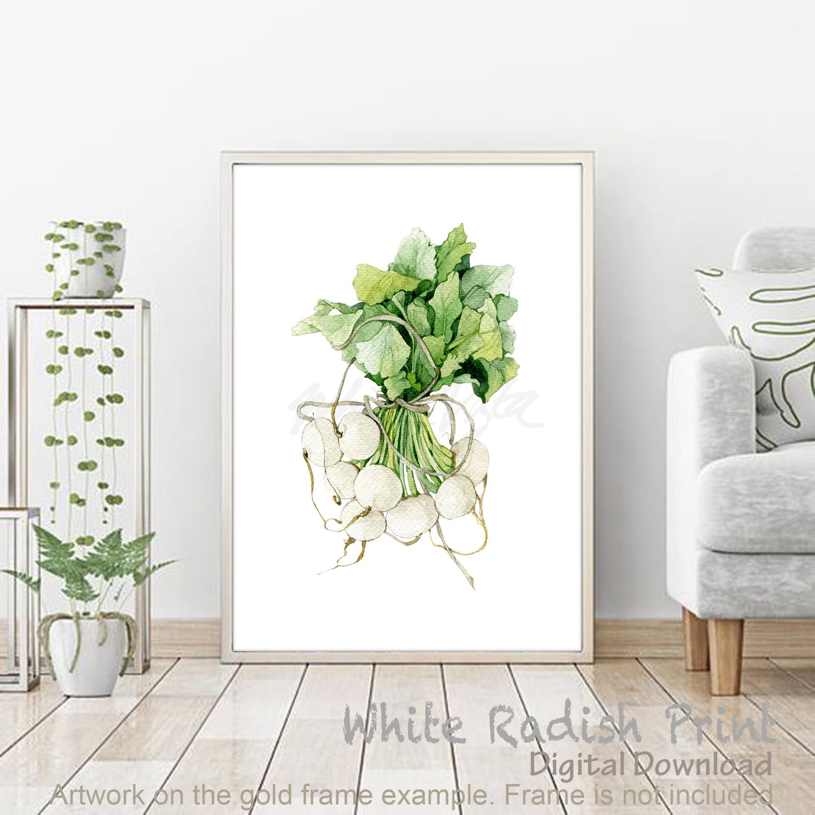 Vegetable Print kitchen Print White Radish Veggie Print | Etsy