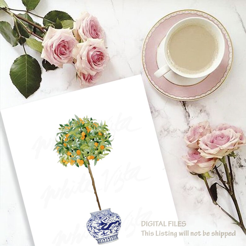 Topiary Tree Orange Topiaries Print Chinoiserie Bonsai - Etsy